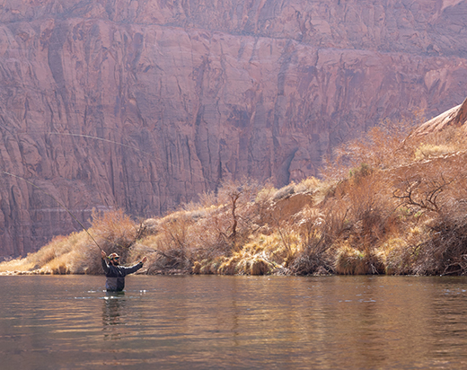 Women's Water & Hiking Shoes - Performance Collection | Chaco