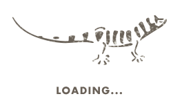 ReChaco - Repair Your Chacos | Chacos